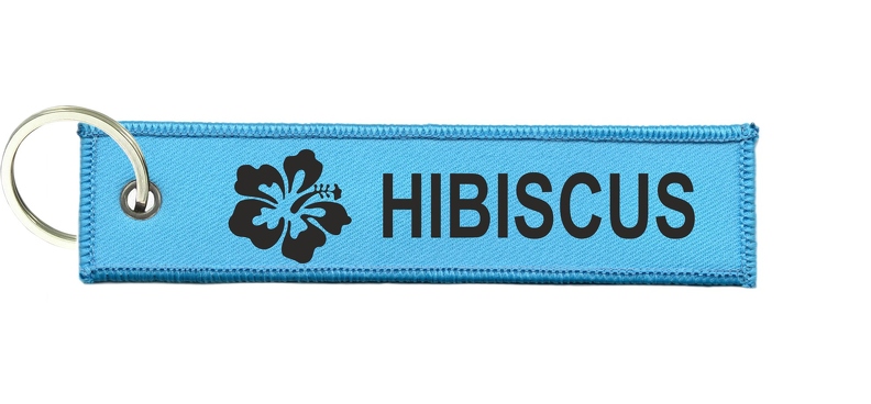 keychain keyring key keytag hibiscus flower | eBay UK