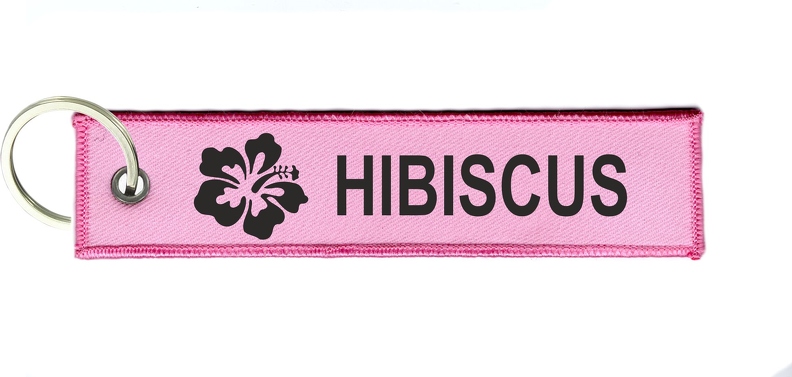 keychain keyring key keytag hibiscus flower | eBay UK