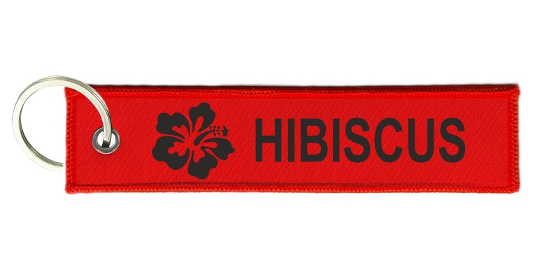 keychain keyring key keytag hibiscus flower | eBay UK